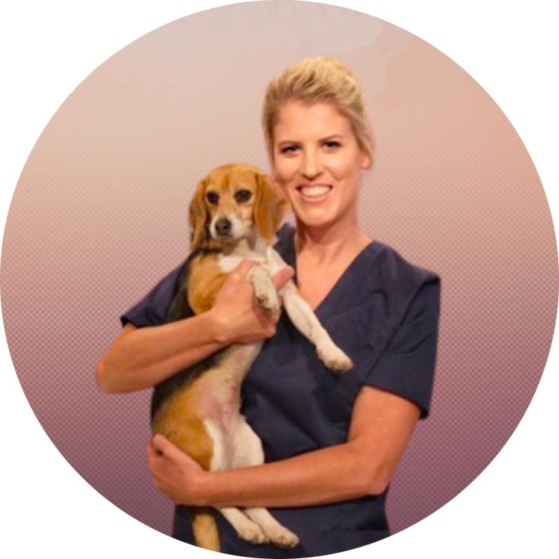 Ihre Tierarztpraxis in Ahlen